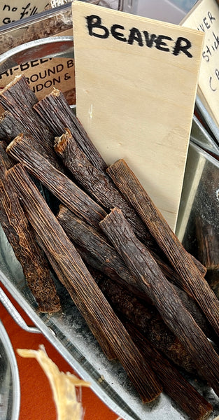 6' Beaver Sticks – Bones & Stuff