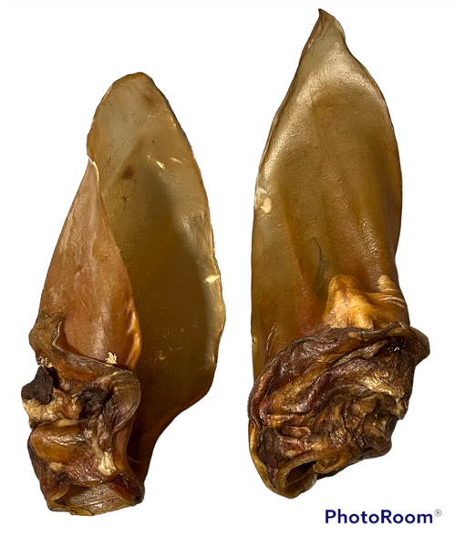 Buffalo Ears – Bones & Stuff